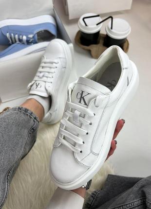 Ck shoes price store