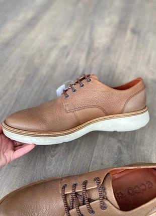 Ecco aurora store