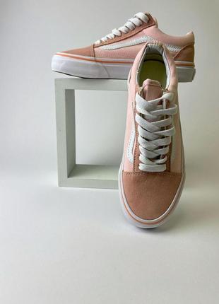Mens pink vans store