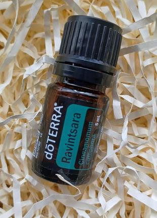 Doterra ravintsara store