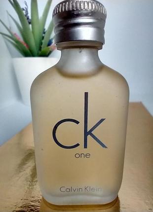 brazilian calvin klein Ck one calvin klein 10 295