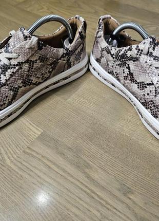 Clarks maui store