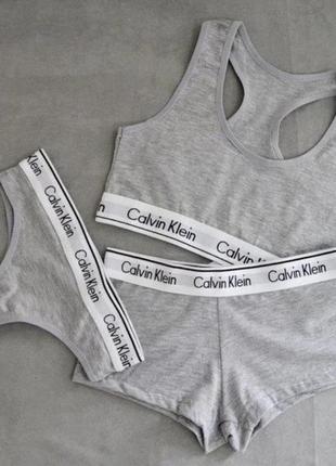 c.a.l.v.i .n k.l.e.i .n 3 1 350 65810337