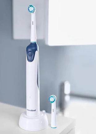 Nevadent electric toothbrush store
