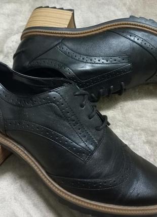 40 41 clarks 1395 112026025